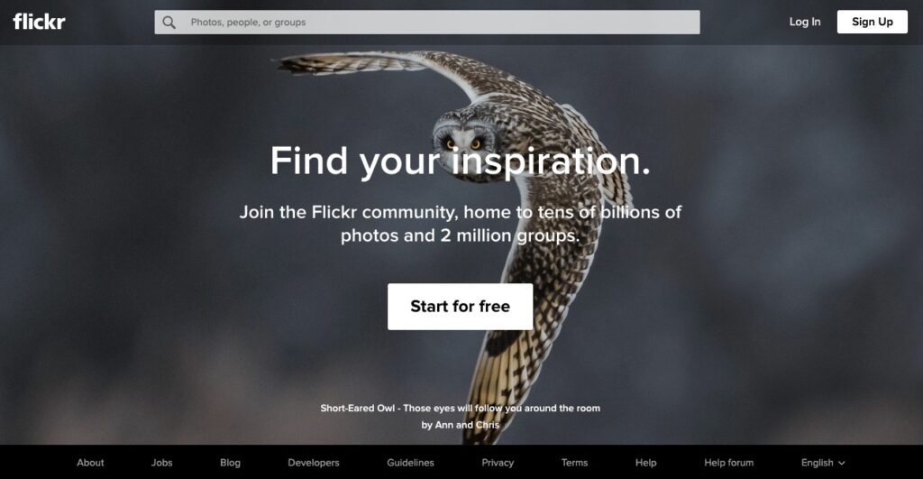 What is Flickr Social Media and Why You Should Use Flickr - G For Games