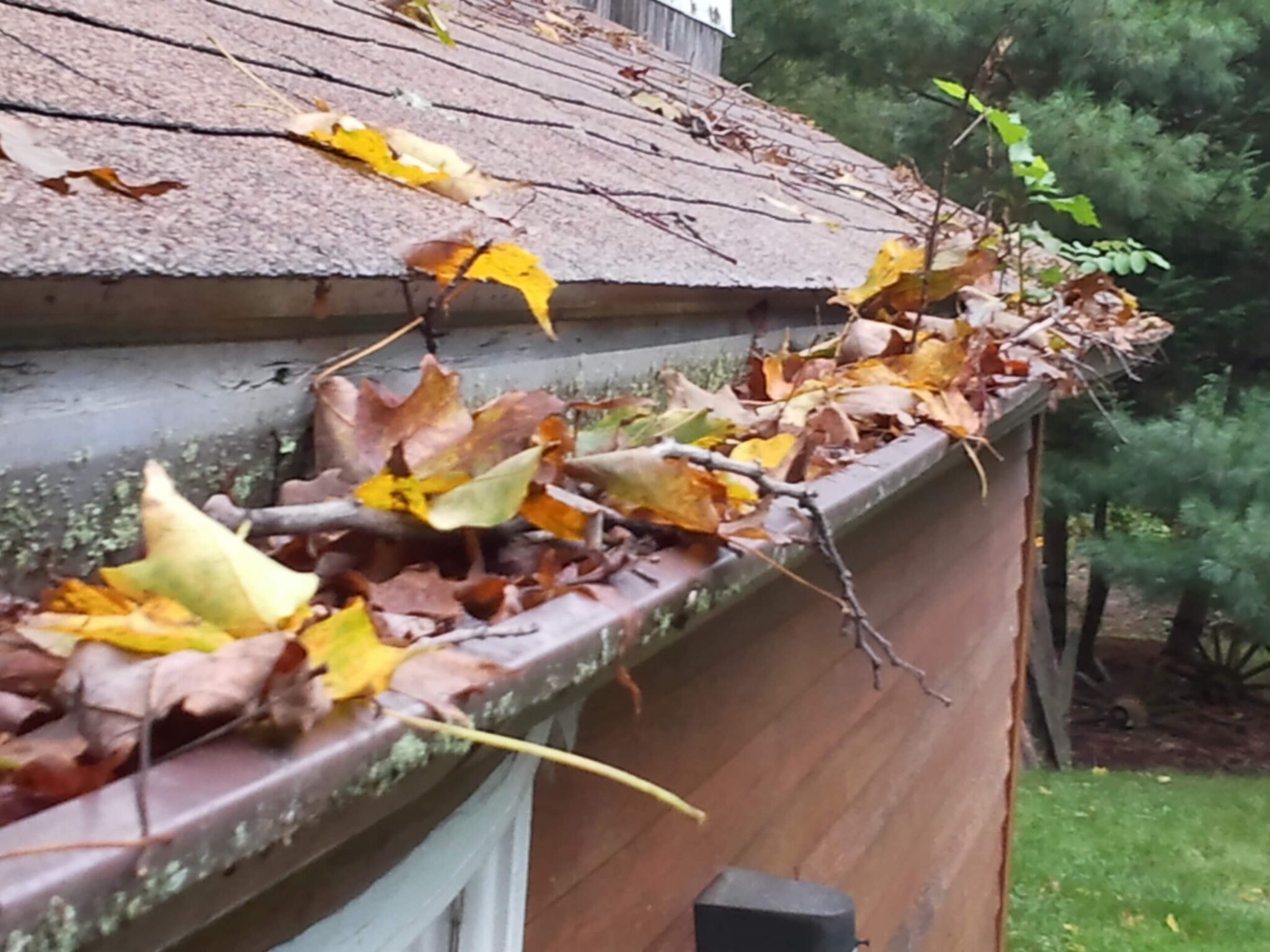 6 Most Common House Problems That Are Caused by Clogged Gutters - 2024 ...
